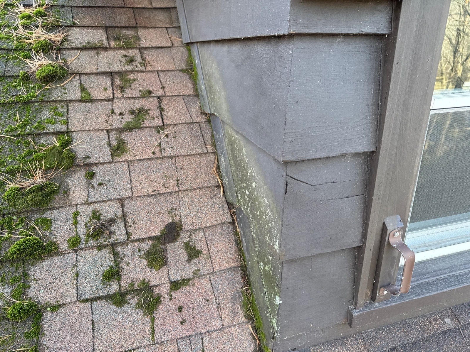 Why Moss on Your Roof Is More Dangerous Than You Think